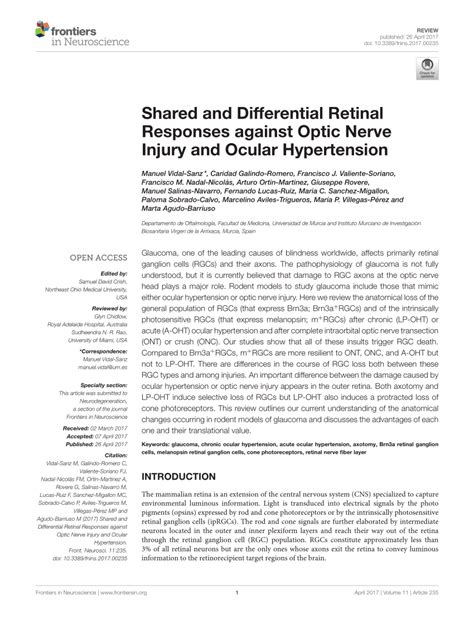 Pdf Glaucoma Pathology An Eye On The Brain