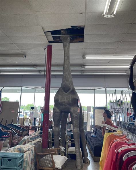 Office Clearout After Medialab Efficiency Measures Album On Imgur