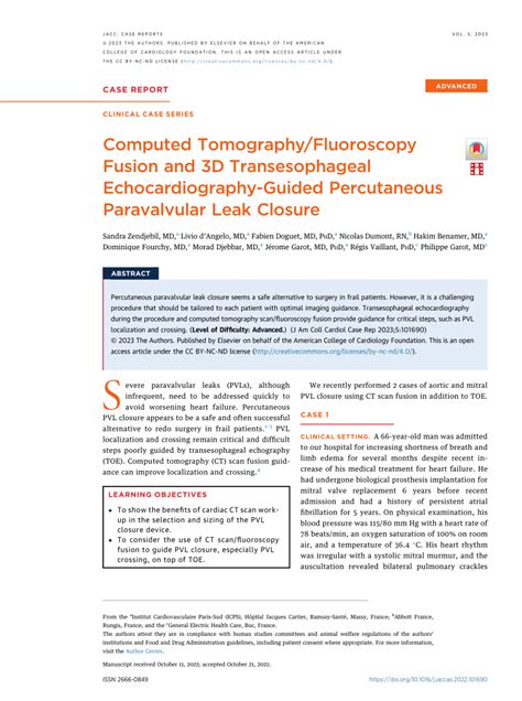 Pdf Computed Tomographyfluoroscopy Fusion And 3d Transesophageal