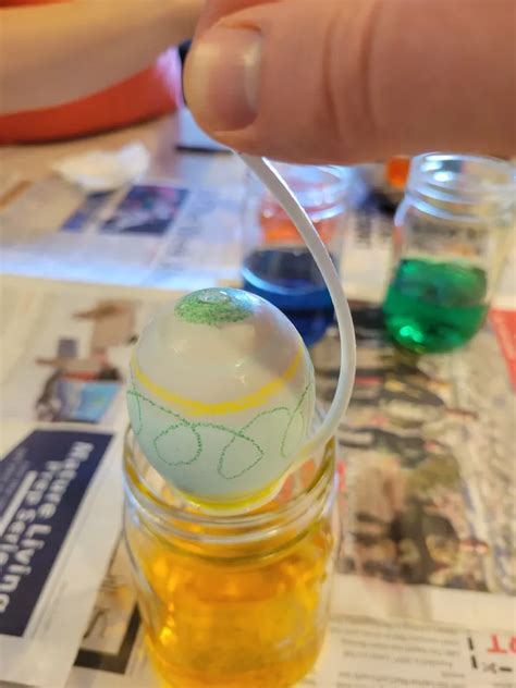 Egg Dipper By Prusauser Download Free Stl Model