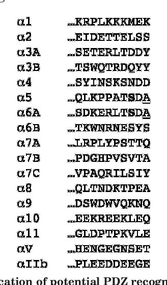 Figure 1 From Pdz Interaction Sites In Integrin Subunits Semantic Scholar