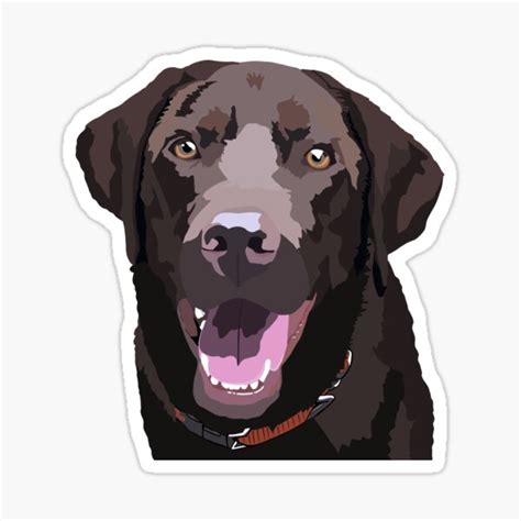 Libby The Chocolate Lab Sticker For Sale By Qbfcanada Redbubble