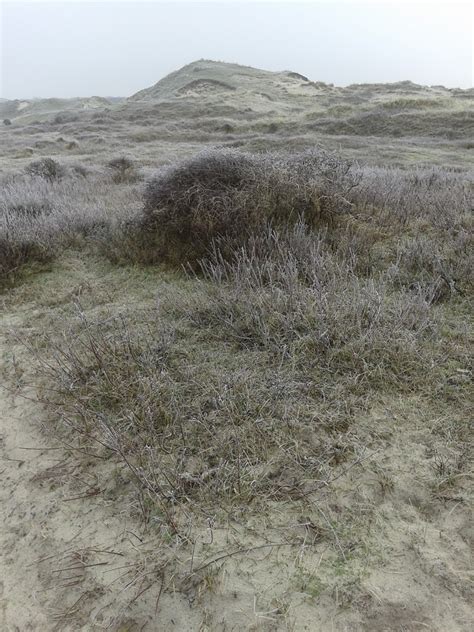 Natuurgedichten Mythe