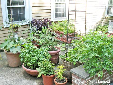 Container Vegetable Gardening
