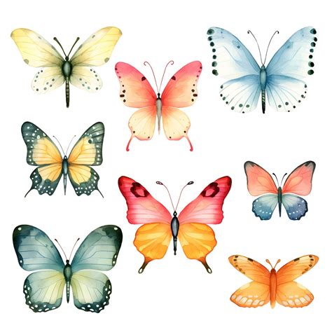 Premium Vector Watercolor Butterfly Clipart Set