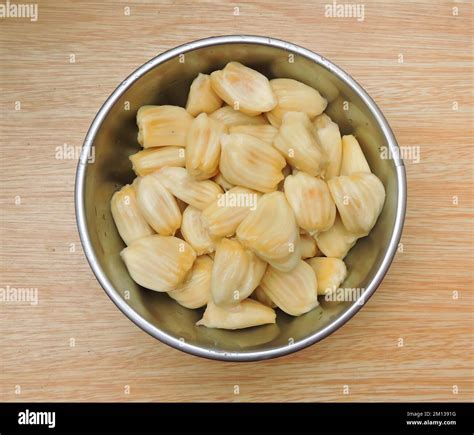 Jackfruit Tree Origin At Jamie Spinelli Blog