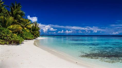 White Sand Beaches Windows Themes