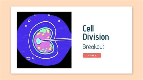 Cell Division Breakout
