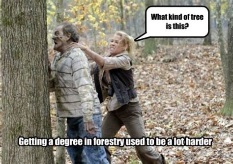 Our Tree Identification Conservation Services Inc