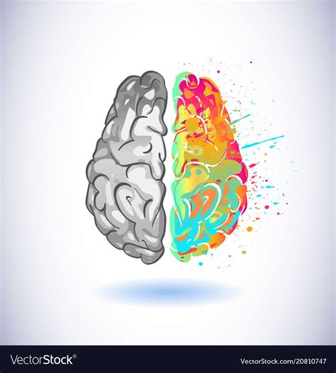 Creative Part And Logic Brain Part Royalty Free Vector Image