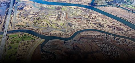 Blue Heron Slough Project Conservation And Mitigation Bank