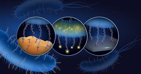Cómo Es La Innovadora Investigación Que Busca Manipular Proteínas Para