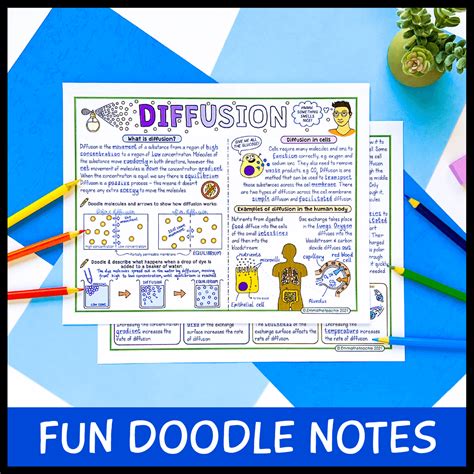 Cell Transport Big Unit Bundle Emmatheteachie Resources