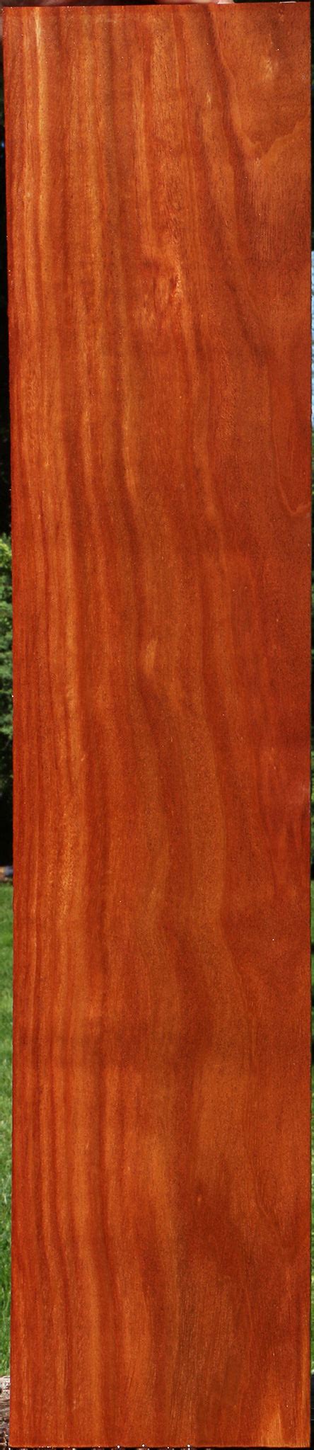 Santos Mahogany Lumber Cook Woods