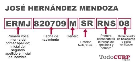 Cómo Se Compone La Curp Con Ejemplos
