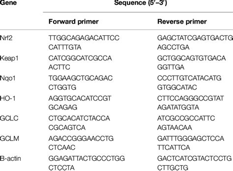The Primer Sequence For Rt Pcr Download Table