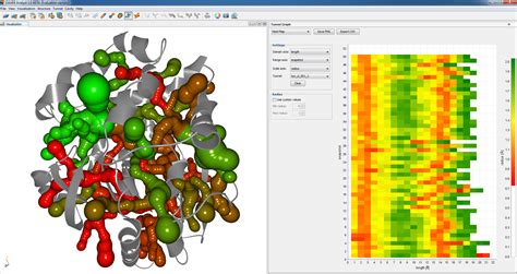Caver Software Tool For Protein Analysis And Visualization