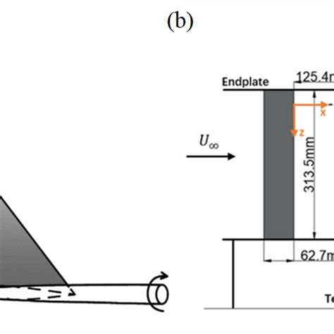 A Schematic Of The Two Dimensional Vortex Interacting With A Swept Download Scientific Diagram
