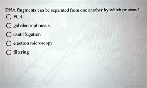 Dna Fragments Can Be Separated From One Another By Which Process Pcr