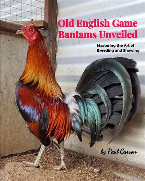 Old English Bantams