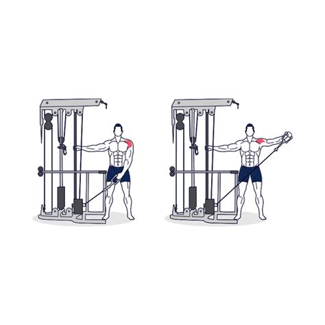 Lateral Arm Raises Cable At Brayden Woodd Blog