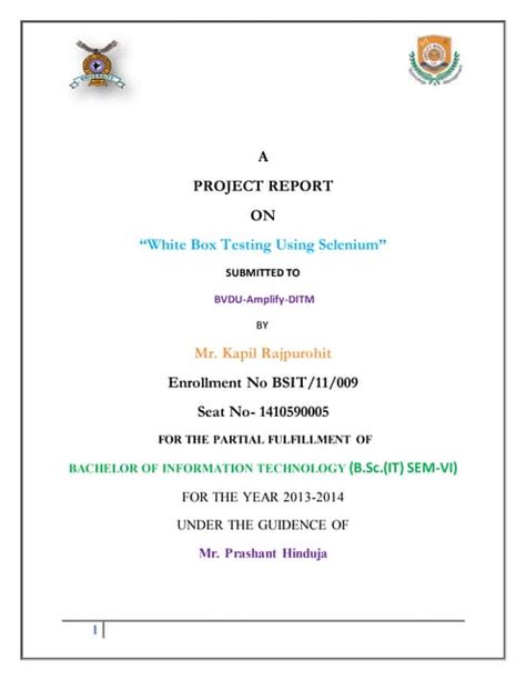 Selenium Testing Project Report Docx