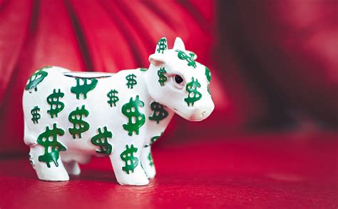 Sapi Kas Dengan Tanda Dolar Foto Stok Unduh Gambar Sekarang Sapi