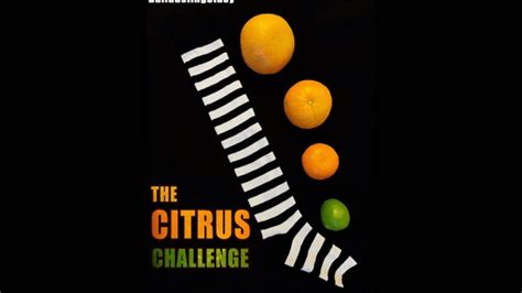 The Citrus Ballbusting Challenge Ballbustingstacys Clip Store