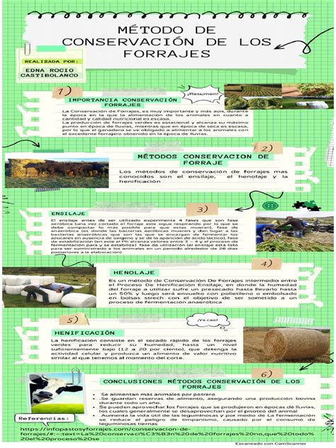 Infografia Metodo De Conservacion De Los Forrajes Pdf