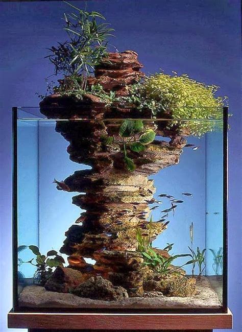 Descubra 20 Ideias De Modelos De Aquário Aquário Modelos De Aquarios Aquários E Muito Mais