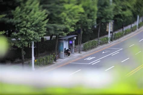 퇴근 갤러리 다모앙