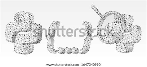 Set Python Coding Language Signs Programming Stock Vector Royalty Free Set Python Coding Language Signs Programming Stock Vector Royalty Free