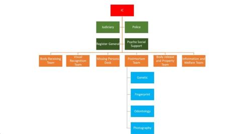 Command Structure At Ifmt Download Scientific Diagram