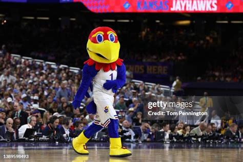 Kansas Jayhawks Mascot Photos And Premium High Res Pictures Getty Images