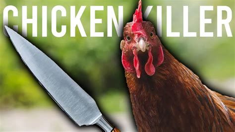 Chicken Killer Youtube
