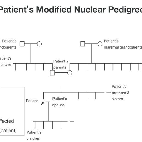 An Algorithm For Identification Of Lynch Syndrome Reprinted With