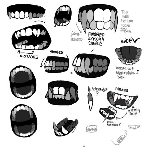 How To Draw Skeleton Teeth Makeup At Alice Manning Blog