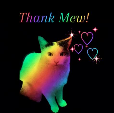 Cat Thank You 