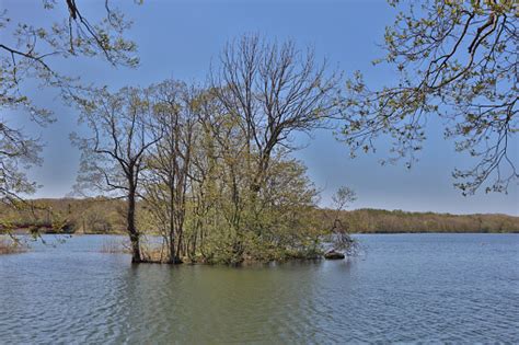 일본에서 목가적인 호수입니다 홋카이도 하코다테 오 누 마 호수 0명에 대한 스톡 사진 및 기타 이미지 0명 동아시아 사진