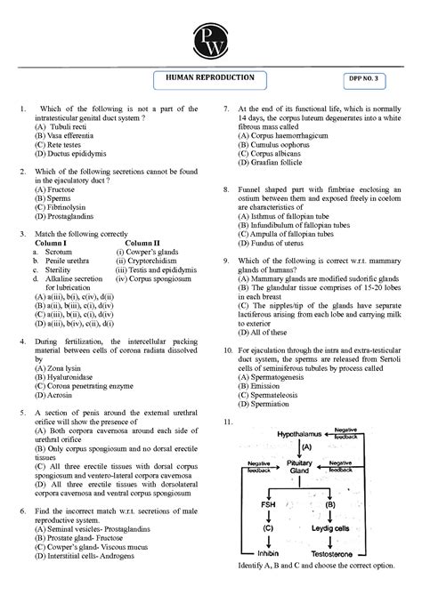 Solution Human Reproduction Dpp 3 Studypool