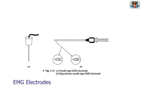 Ppt Comprehensive Guide To Electrode Theory And Types For Ecg And Bio