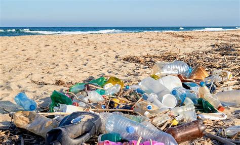 Plastic On Beaches Is Now Visible From Space