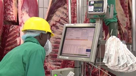 Emydex Beef Processing Solutions 12 Emydex