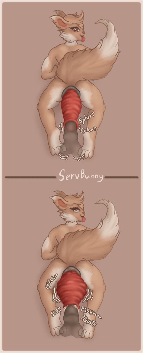 Rule 34 Absurd Res Anal Anal Prolapse Anthro Anus Big Anus Bodily Fluids Border Disembodied