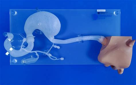 Ercp シミュレーター Iii メーカーとサプライヤー中国 卸売 Trandomed