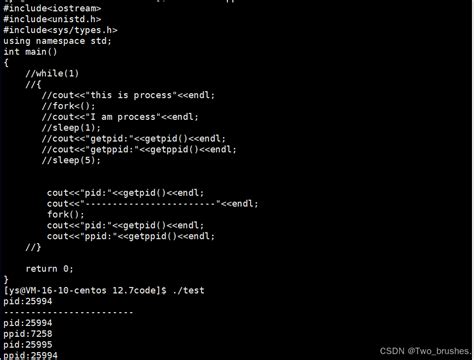 【linux】进程的概念 Csdn博客