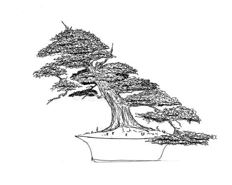 Bonsai Ink Drawing At Anthony Browne Blog