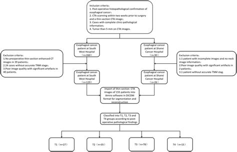 Flowchart Of Patient Inclusion Or Exclusion Download Scientific Diagram