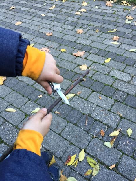 Premium Photo Cropped Hands Cutting Stick With Knife On Footpath