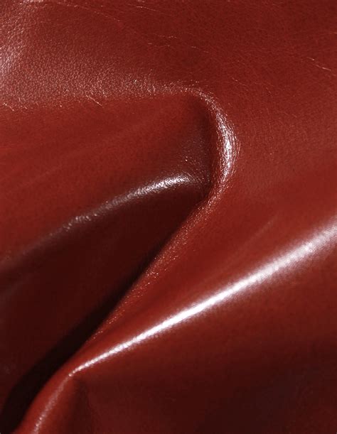 Simone Gange Fall Aster Annelies Timmermans